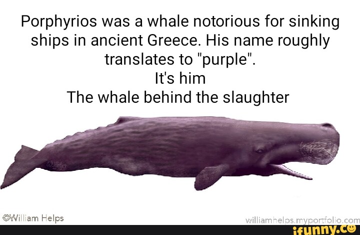 Porphyrios was a whale notorious for sinking ships in ancient Greece ...
