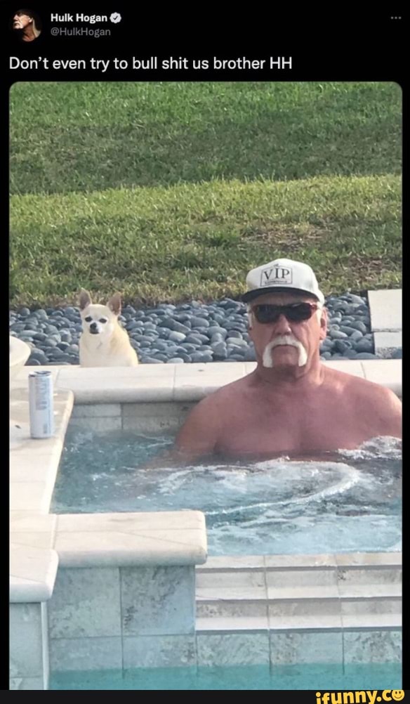 Hulk Hogan aA, Don't even try to bull shit us brother HH - iFunny