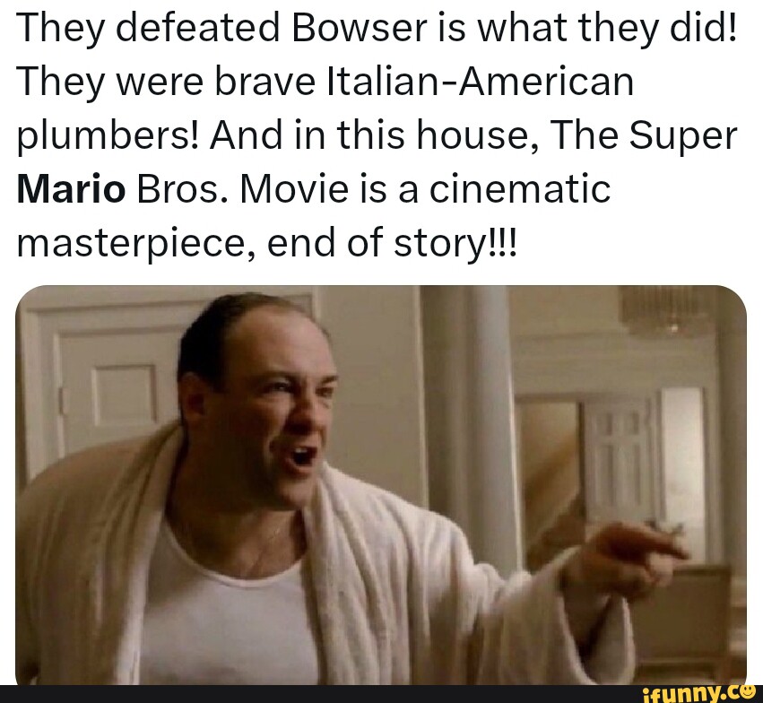 They defeated Bowser is what they did! They were brave Italian-American ...