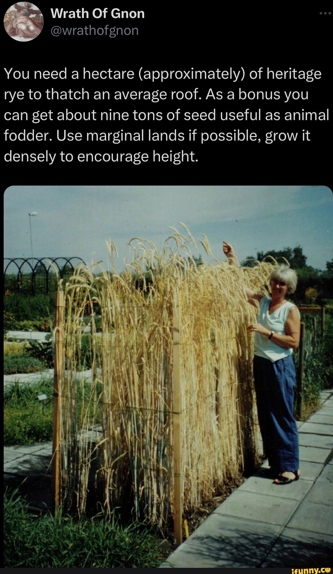 Wrath Of Gnon @wrathofgnon You need a hectare (approximately) of ...