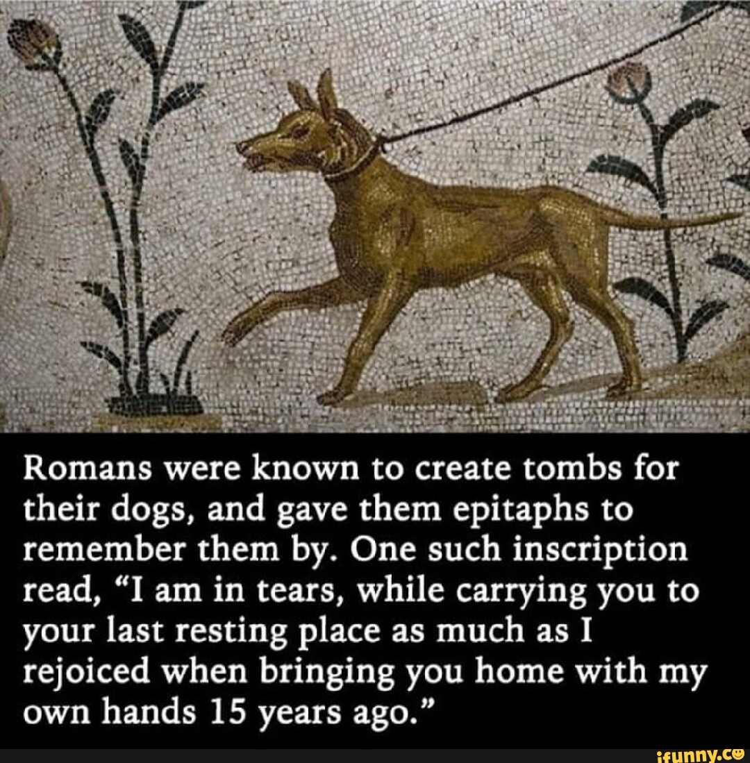 Romans were known to create tombs for their dogs, and gave them ...