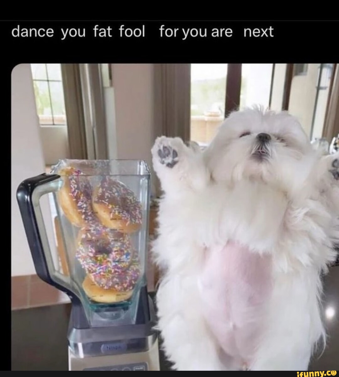 Dance you fat fool for you are next - iFunny