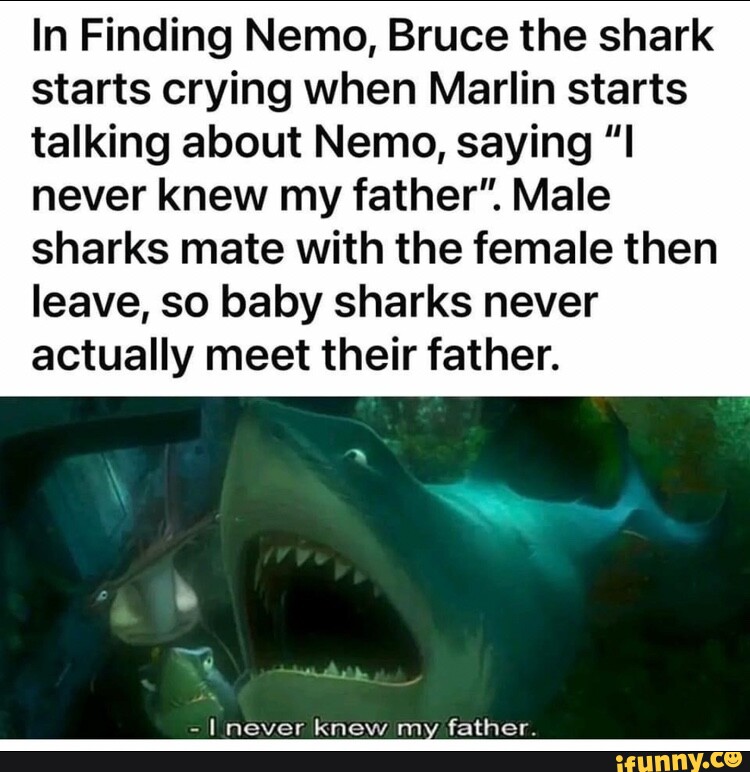 In Finding Nemo, Bruce the shark starts crying when Marlin starts ...