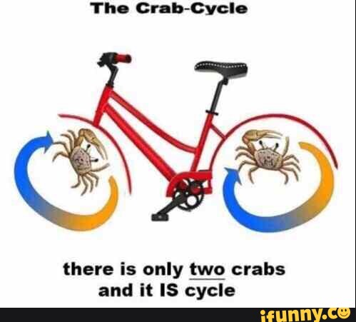 Crab Cycle Memes