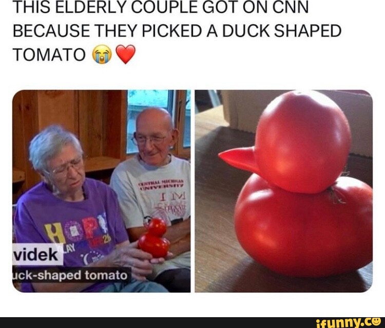 Rick Sanchez (Rick and Morty) VS Satoru Gojo (Jujutsu Kaisen) - iFunny