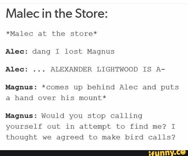 Malec in the Store: *Malec at the store* Alec: dang I lost Magnus Alec ...