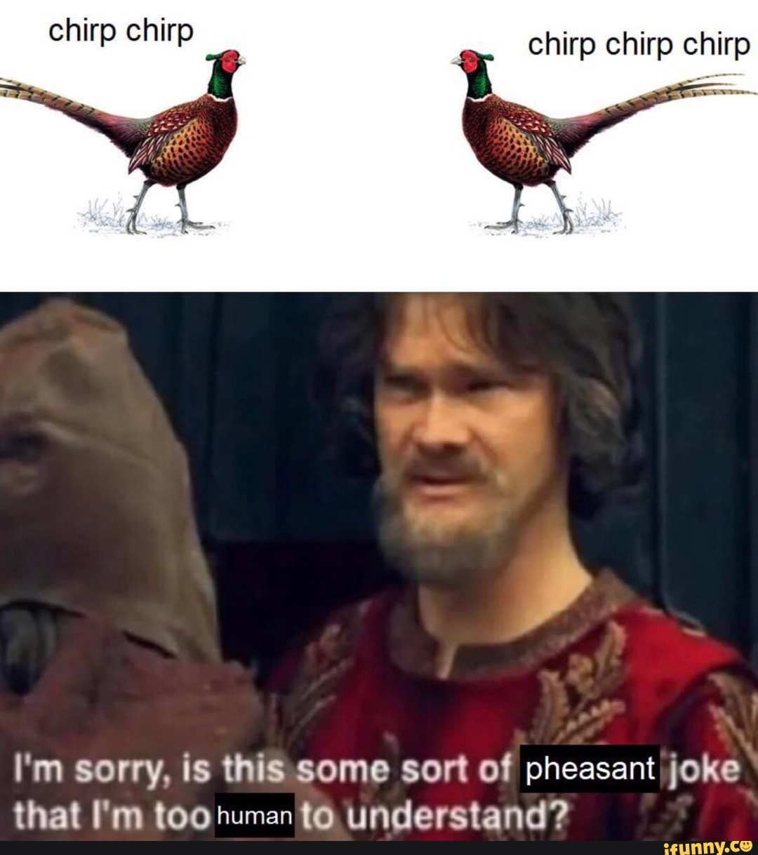 Pheasent memes. Best Collection of funny Pheasent pictures on iFunny