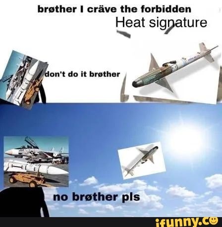 Someon Explain why is it locking onto the Sun : r/Warthunder