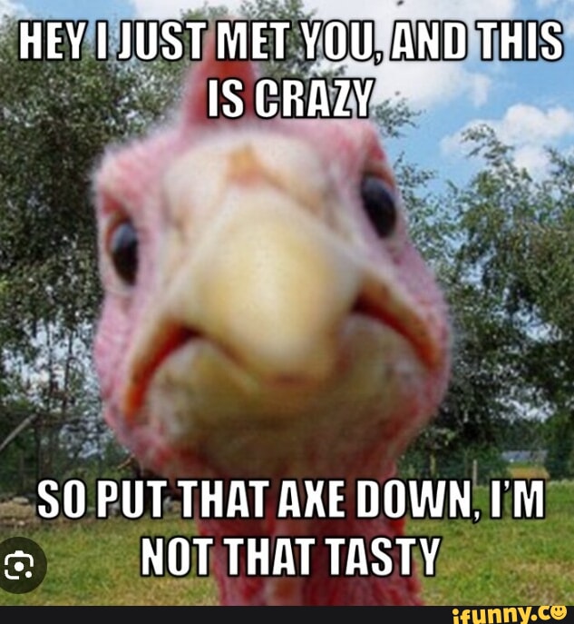 Gobble memes. Best Collection of funny Gobble pictures on iFunny