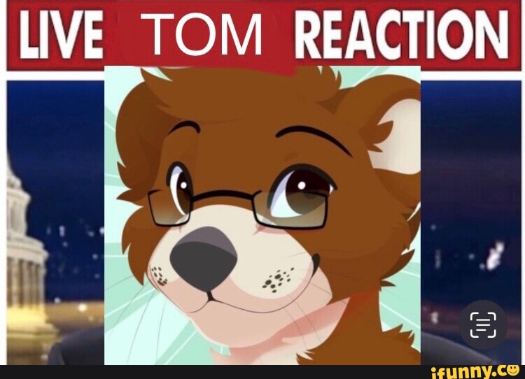 LIVE TOM REACTION - iFunny