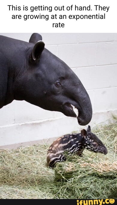 Exponential memes. Best Collection of funny Exponential pictures on iFunny