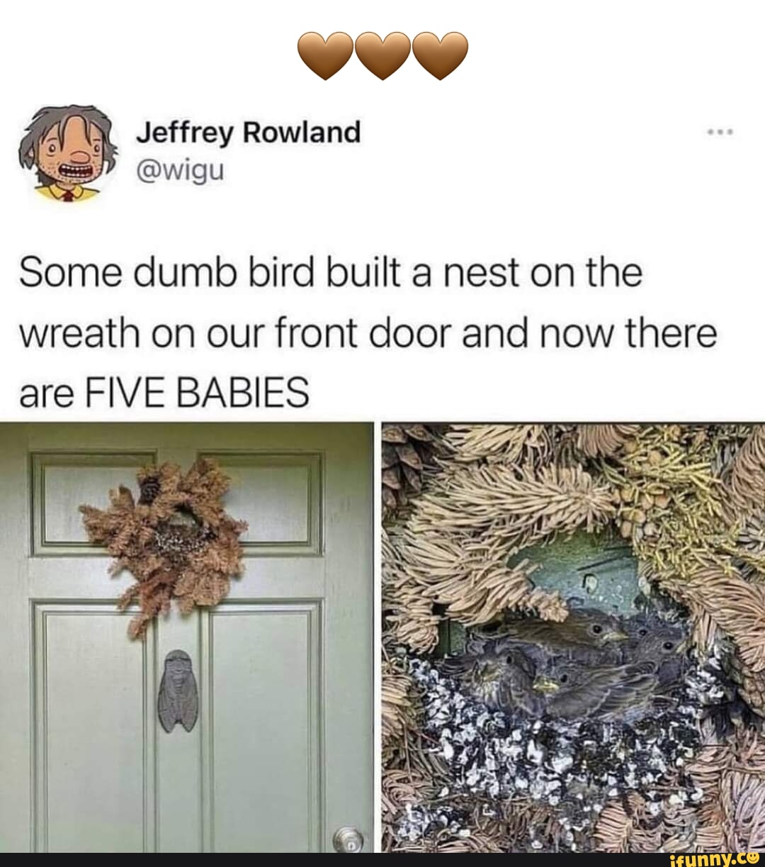 Some dumb bird built a nest on the wreath on our front door and now ...