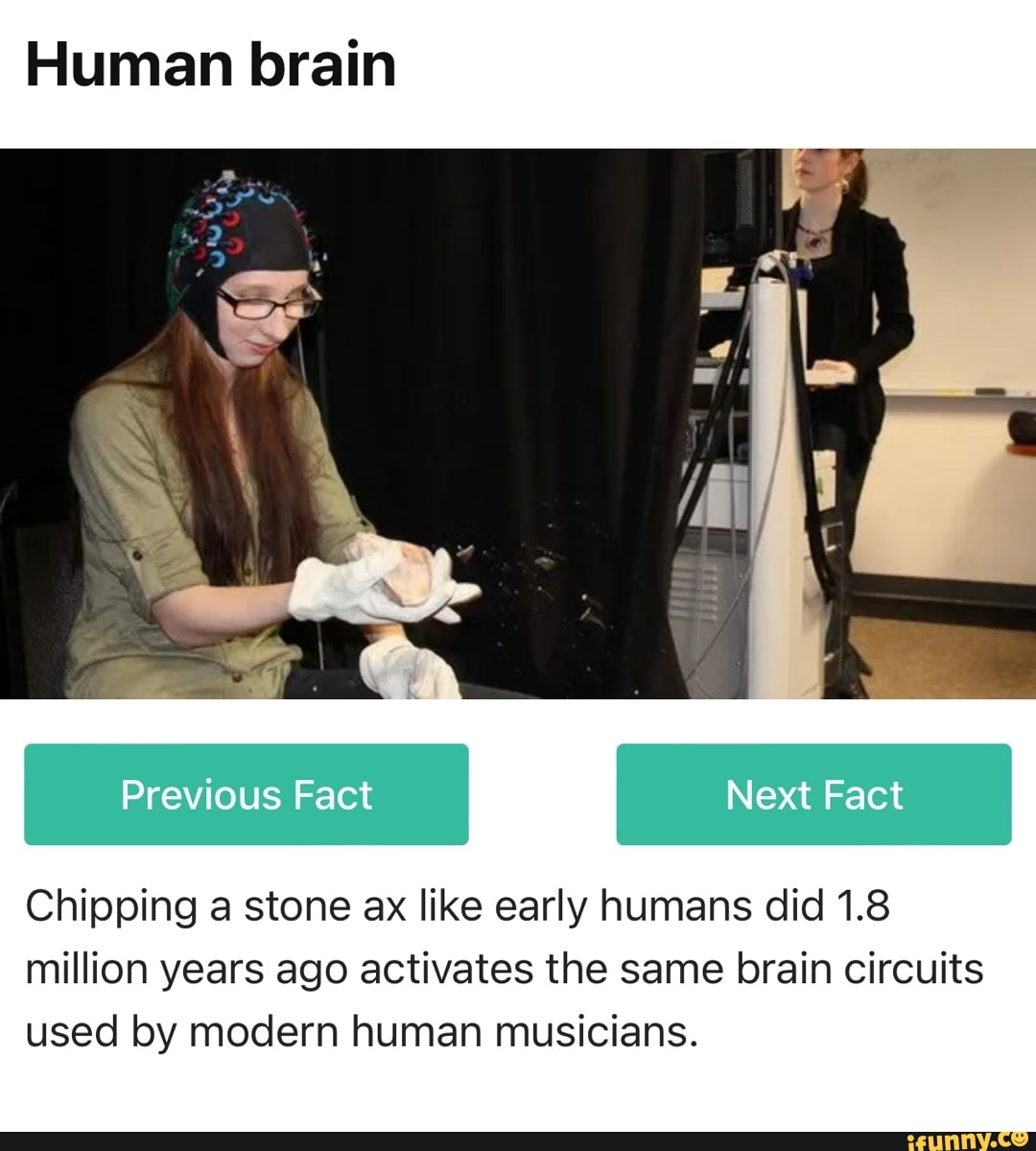 Human brain Chipping a stone ax like early humans did 1.8 million years ...