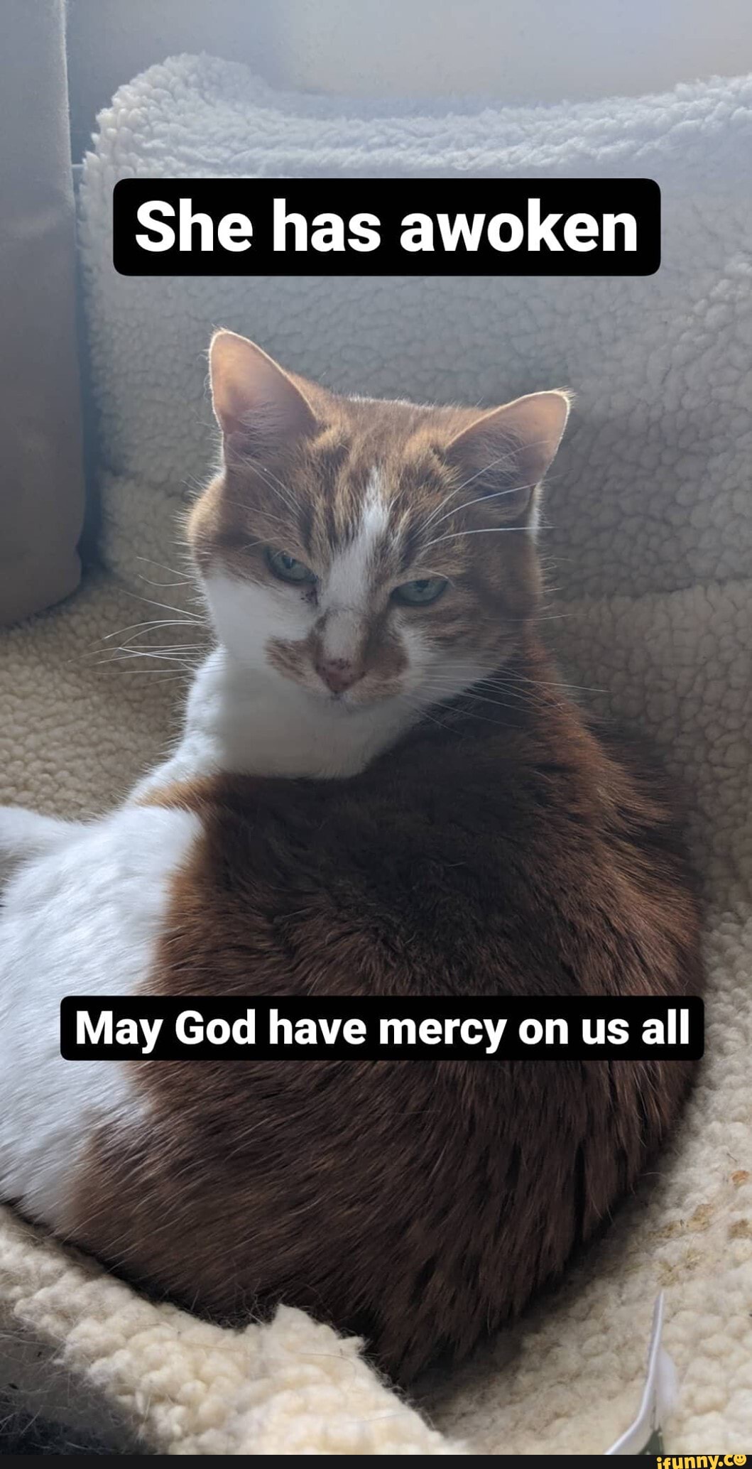 Images of note: Lord Summerisle may have a solution. - She has awoken ...