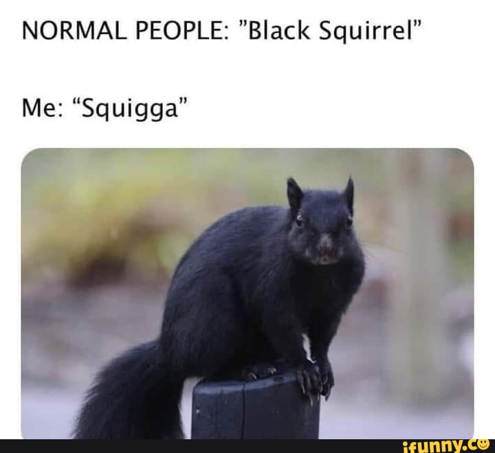 Squigga memes. Best Collection of funny Squigga pictures on iFunny