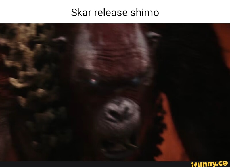 Shimo memes. Best Collection of funny Shimo pictures on iFunny