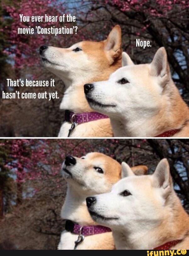 Constipation memes. Best Collection of funny Constipation pictures on ...