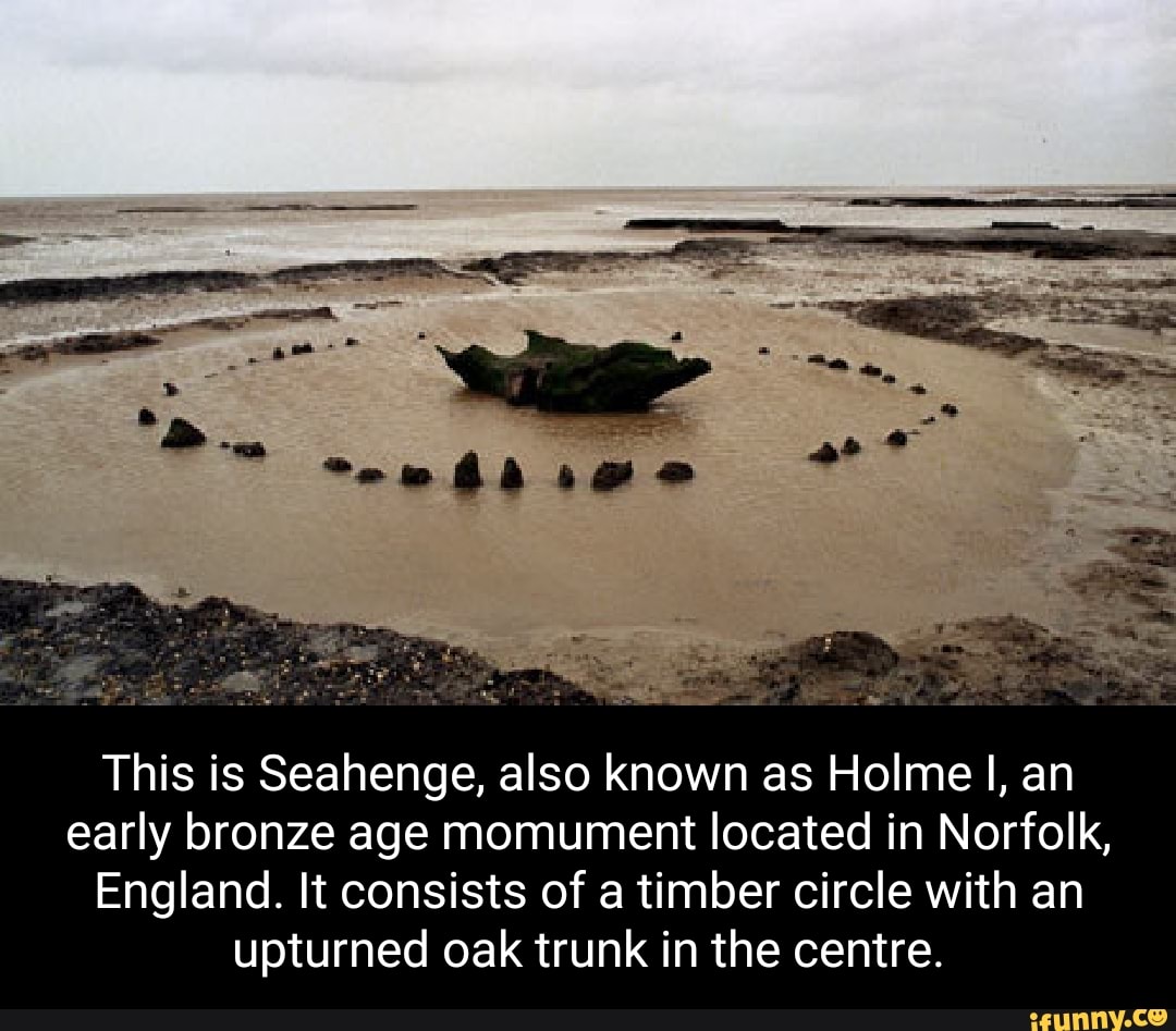 Seahenge memes. Best Collection of funny Seahenge pictures on iFunny