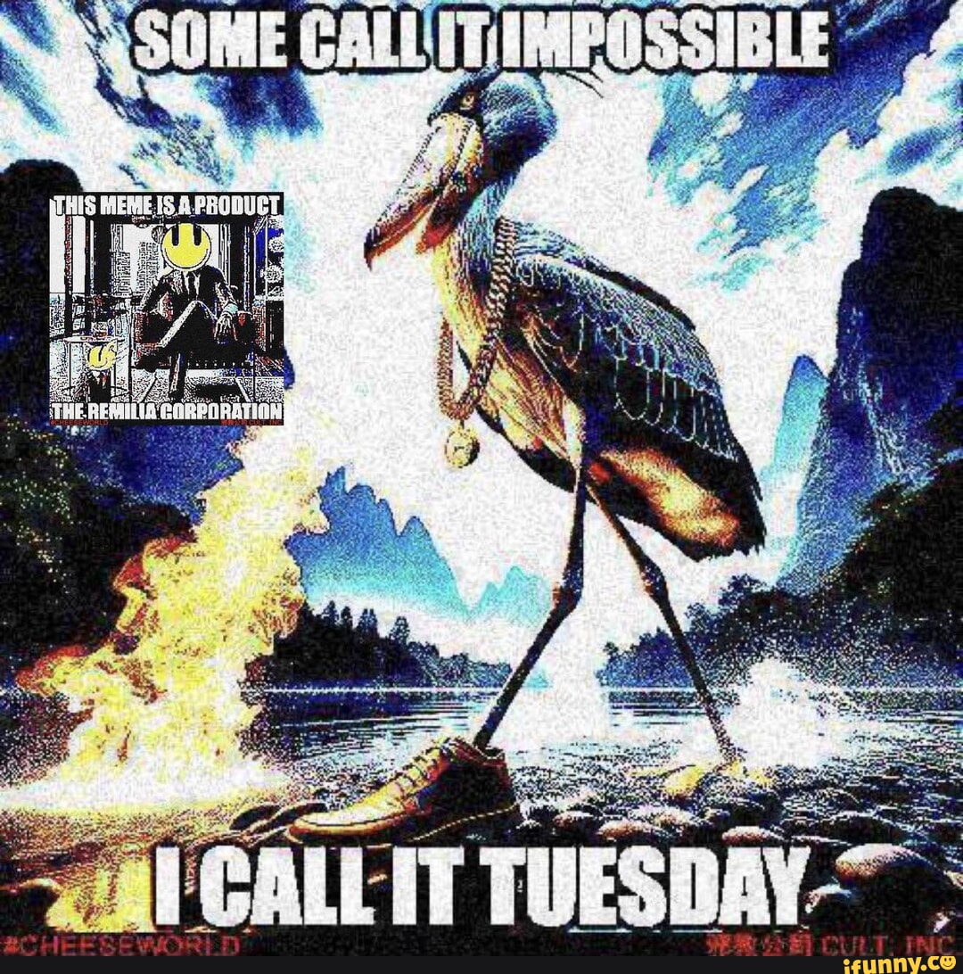 Shoebill memes. Best Collection of funny Shoebill pictures on iFunny
