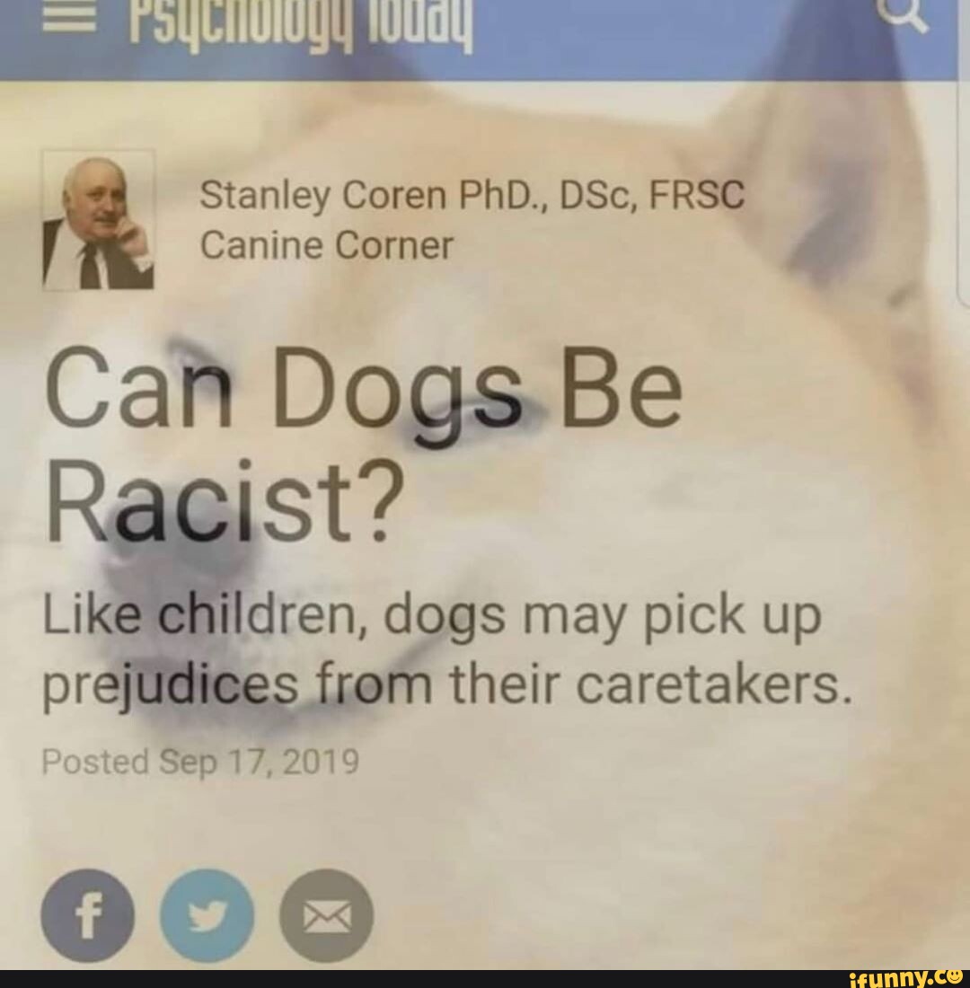 Dsc memes. Best Collection of funny Dsc pictures on iFunny