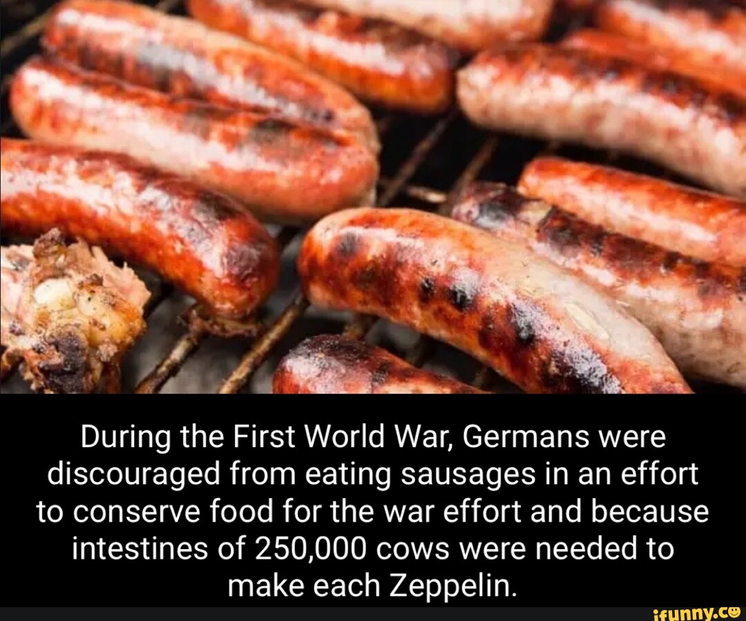 Intestines memes. Best Collection of funny Intestines pictures on iFunny