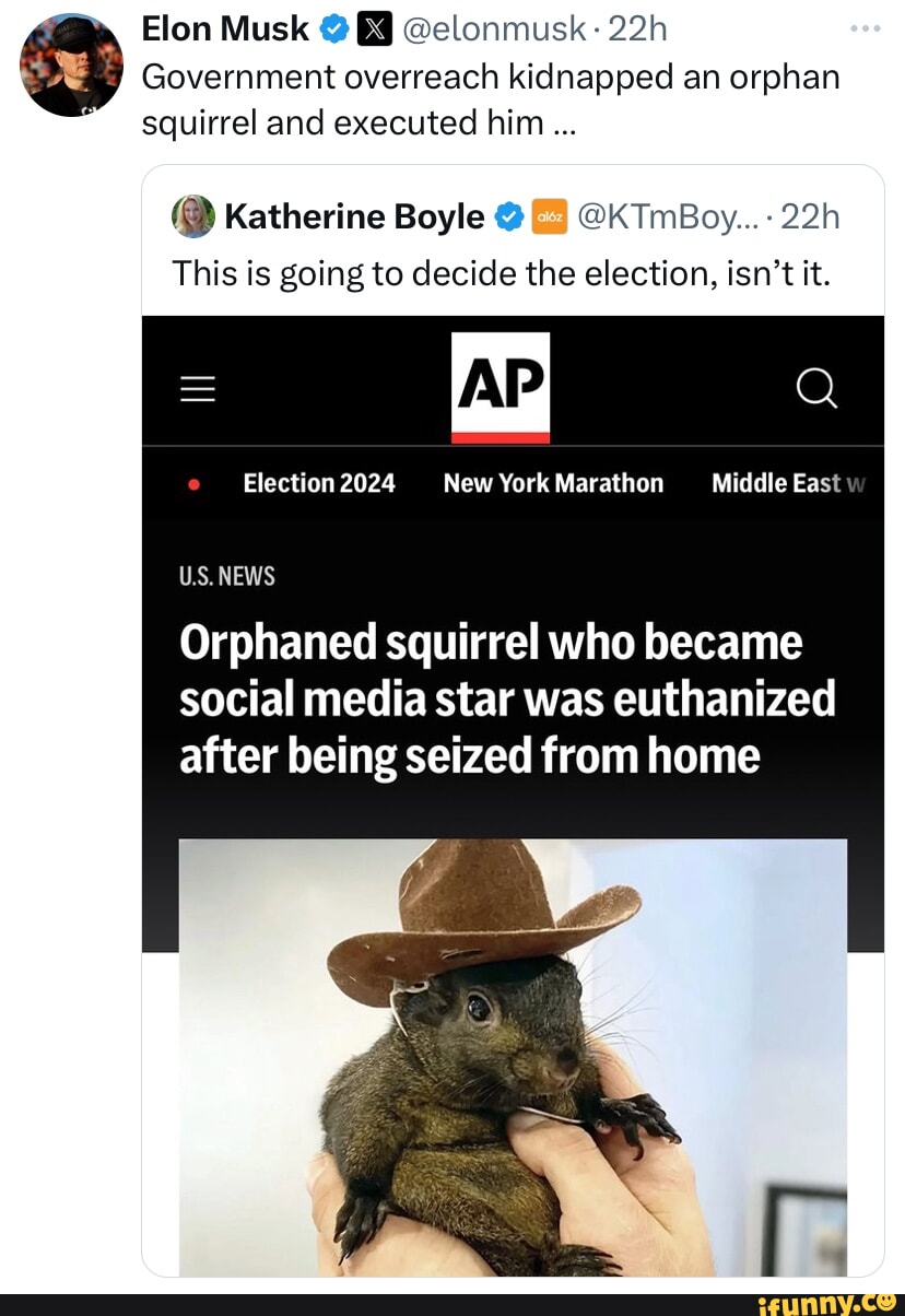 Elon Musk @ @elonmusk Government overreach kidnapped an orphan squirrel ...