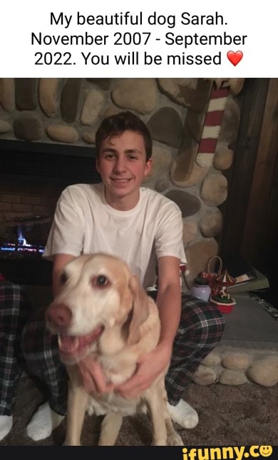 My beautiful dog Sarah. November 2007 - September 2022. You will be ...