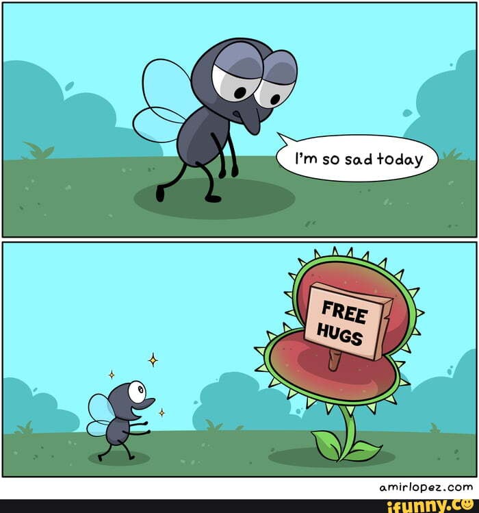 House_fly memes. Best Collection of funny House_fly pictures on iFunny