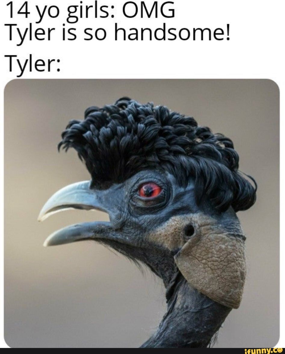 Yo girls: Tyler is so handsome! Tyler: - iFunny
