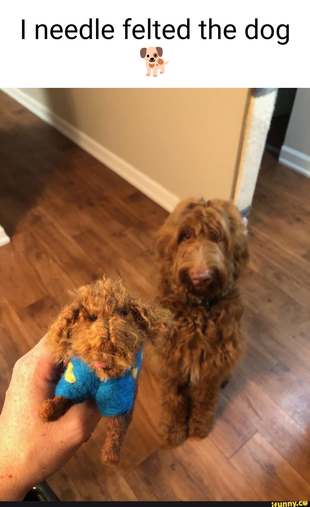 Felted memes. Best Collection of funny Felted pictures on iFunny