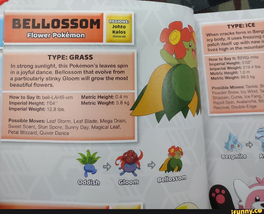 Bellossom Memes