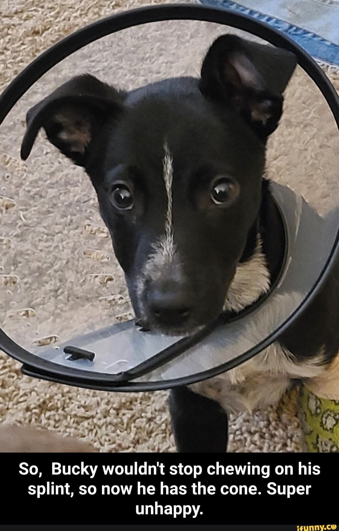 Splint memes. Best Collection of funny Splint pictures on iFunny