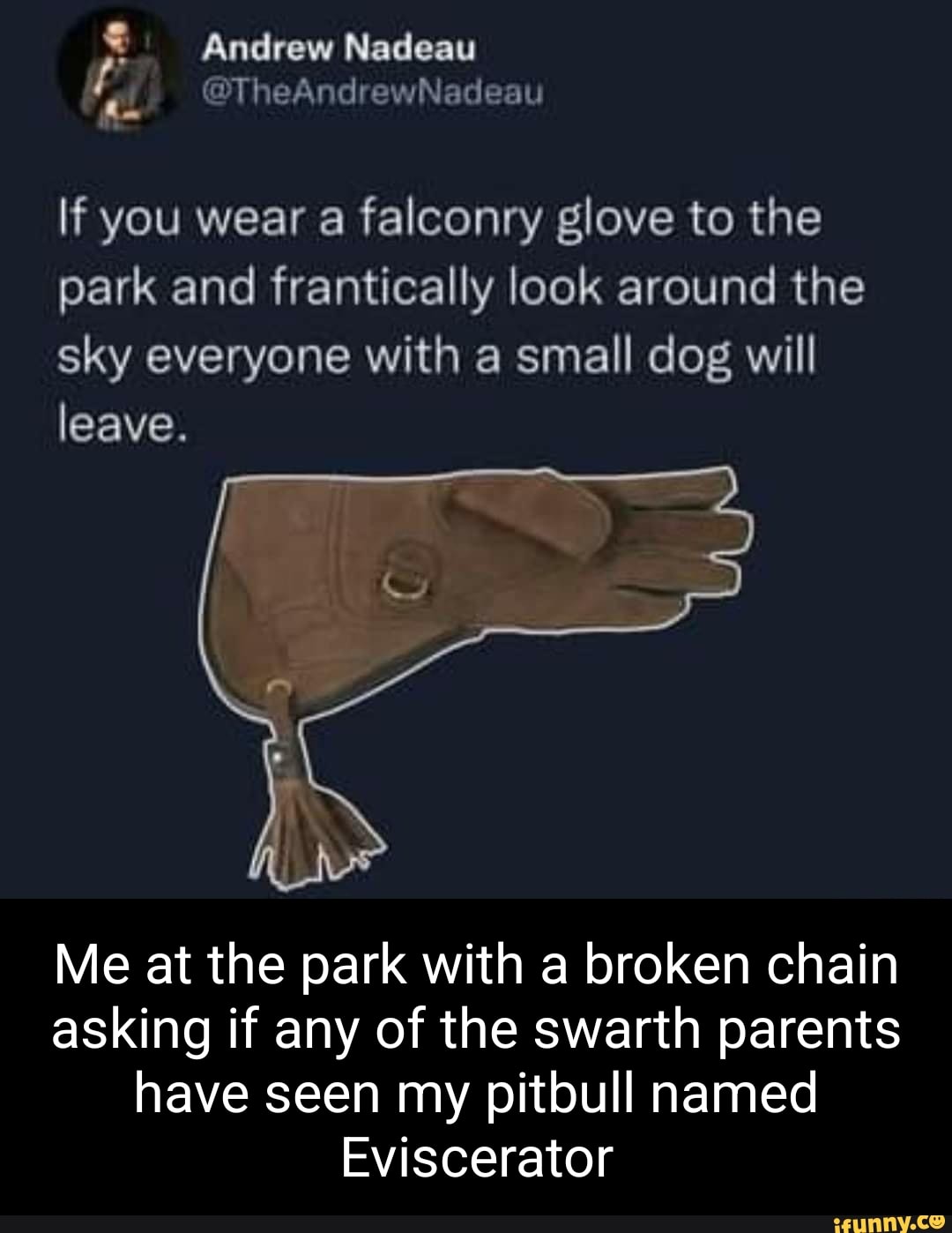 Andrew Nadeau If you wear a falconry glove to the park and frantically ...