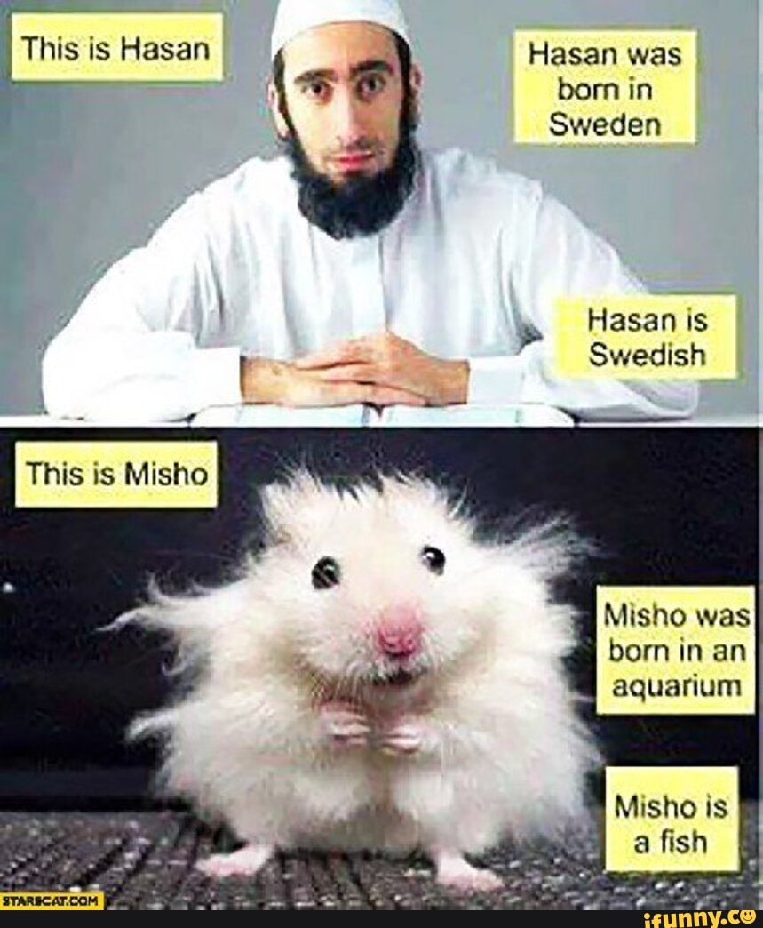 Misho memes. Best Collection of funny Misho pictures on iFunny