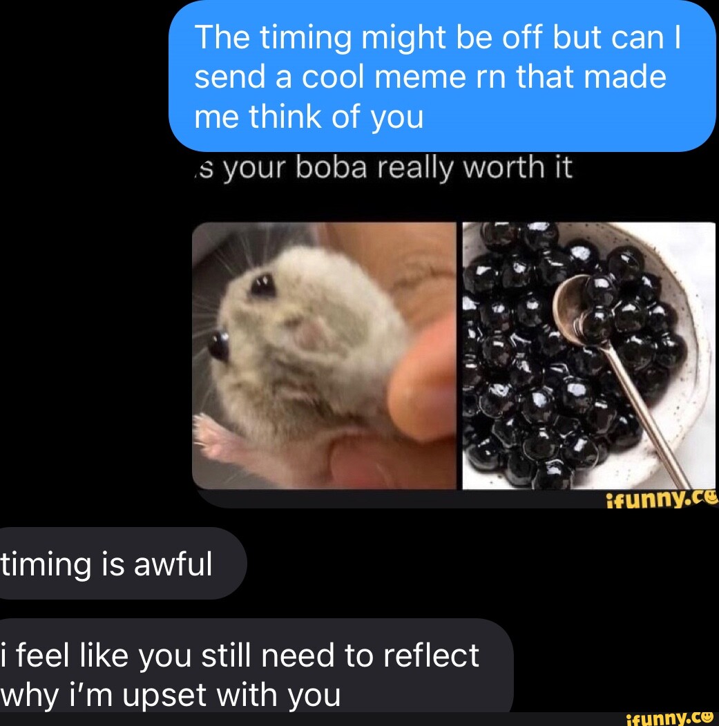 Hampter memes. Best Collection of funny Hampter pictures on iFunny