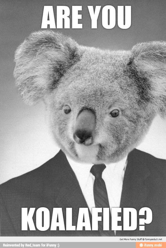 Koalafication memes. Best Collection of funny Koalafication pictures on ...