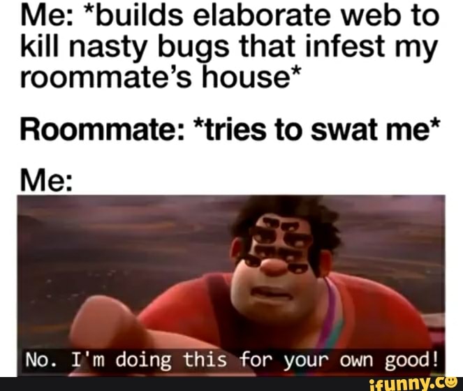 Me: *builds elaborate web to kill nasty bugs that infest my roommate's ...