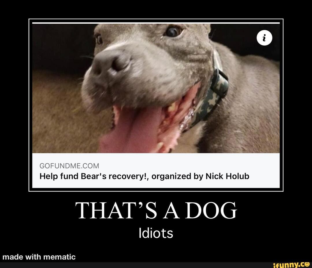 Holub memes. Best Collection of funny Holub pictures on iFunny