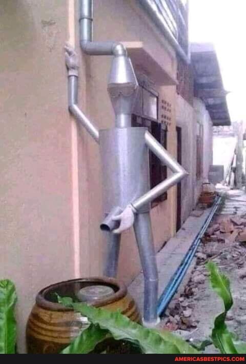 Picture memes wIMpeTeZ8 by seeker6360_2021: 17 comments - America’s ...