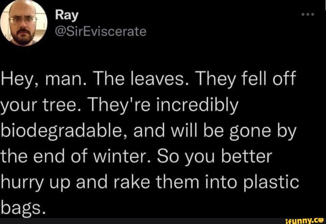 Hey, man. The leaves. They fell off your tree. They're incredibly ...