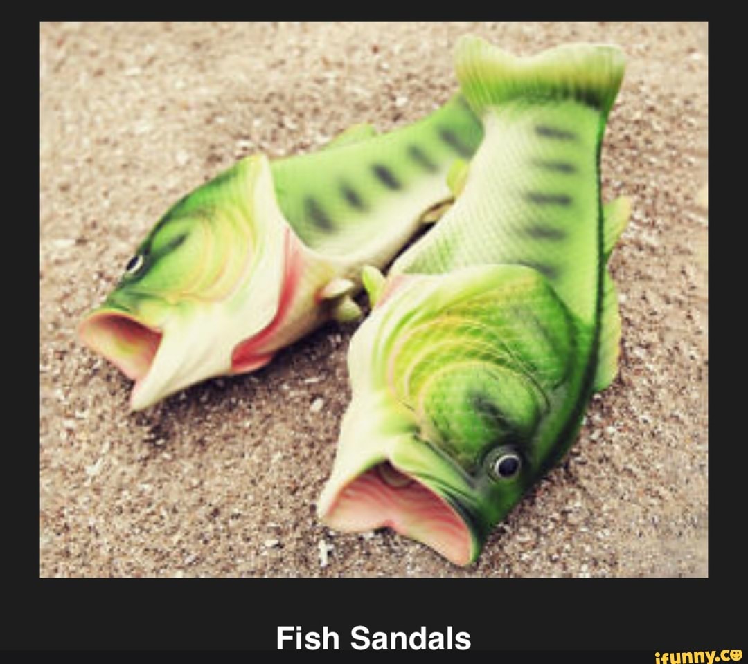 Thisiswhyimbroke memes. Best Collection of funny Thisiswhyimbroke ...