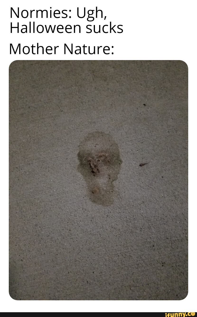 Spoops memes. Best Collection of funny Spoops pictures on iFunny