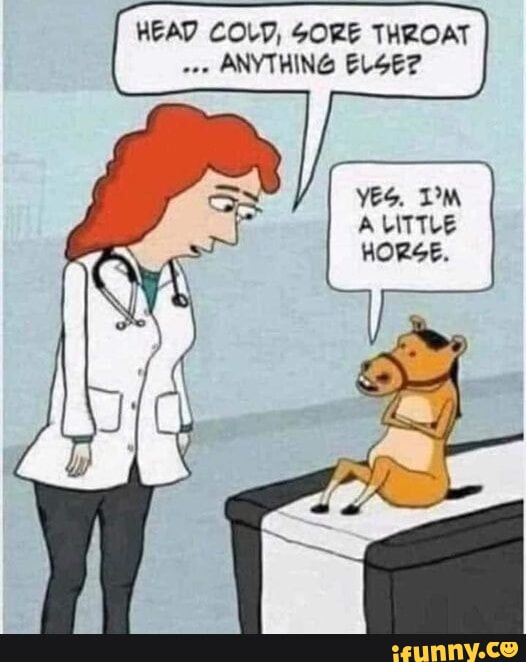 Thieves Stew TikTOK - iFunny