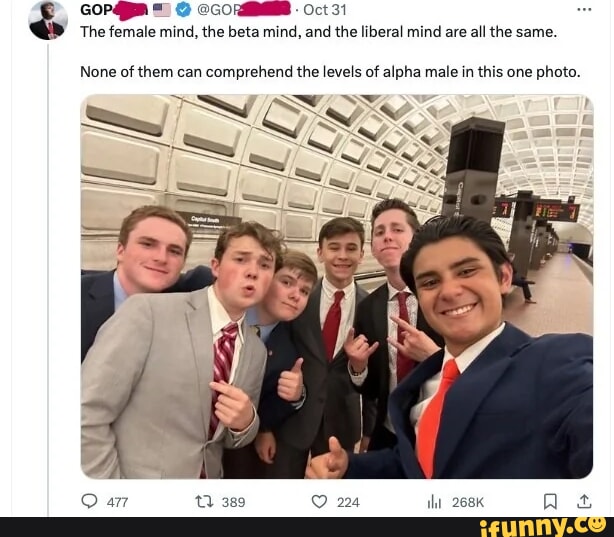 CGORMMEB Oct 31 The female mind, the beta mind, and the liberal mind are all the same. None of ...