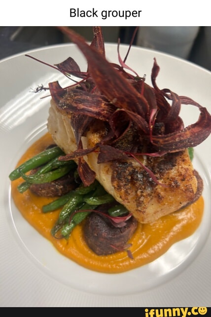 Grouper memes. Best Collection of funny Grouper pictures on iFunny