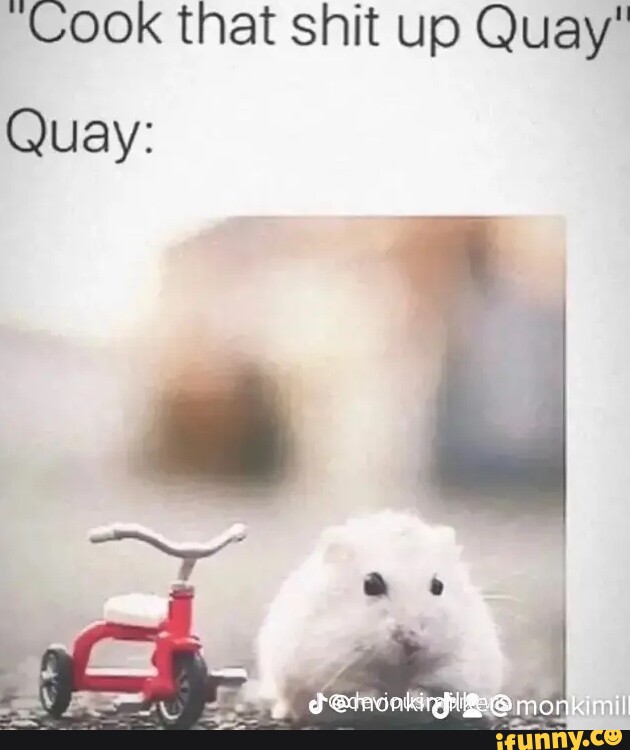 Quay memes. Best Collection of funny Quay pictures on iFunny