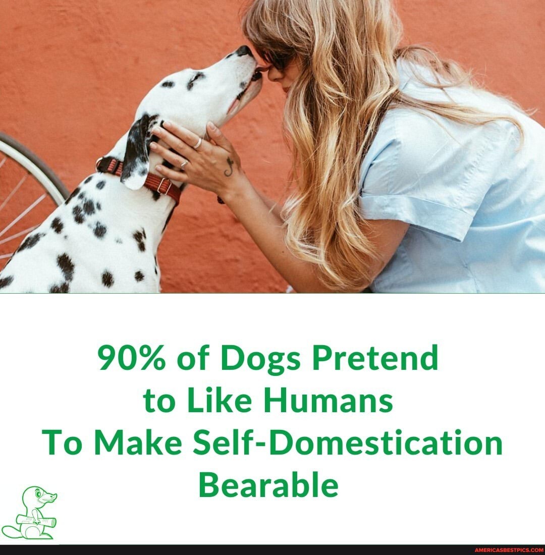 90% of Dogs Pretend to Like Humans To Make Self-Domestication Bearable ...