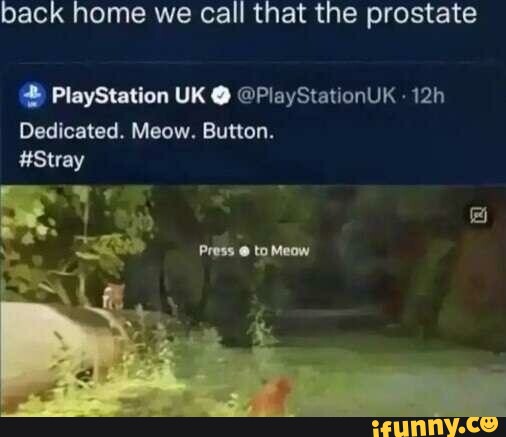 Back home we Call that the prostate PlayStation UK @ @PlayStationUK ...