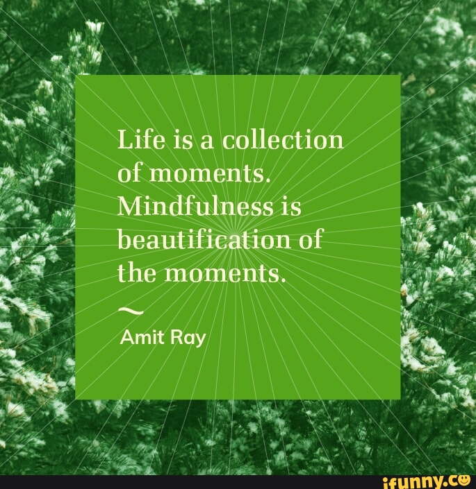 Mindfulness memes. Best Collection of funny Mindfulness pictures on iFunny