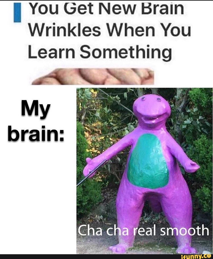 You Get New Brain Wrinkles When You Learn Something My brain: - iFunny